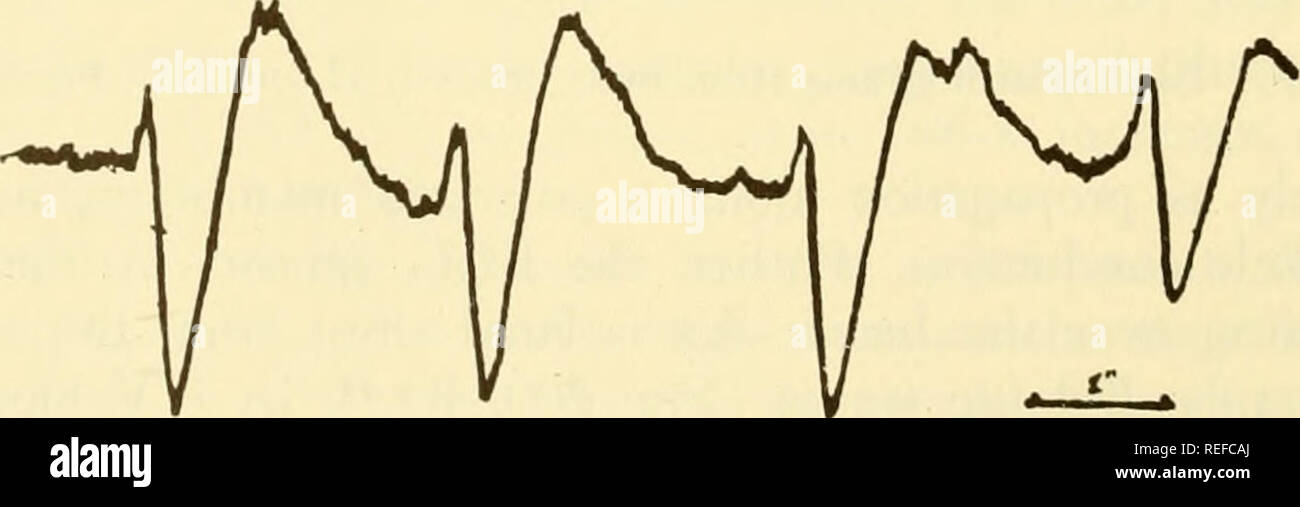. Comparative animal physiology. Physiology, Comparative; Physiology ...