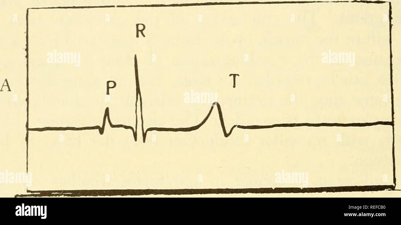 . Comparative animal physiology. Physiology, Comparative; Physiology ...