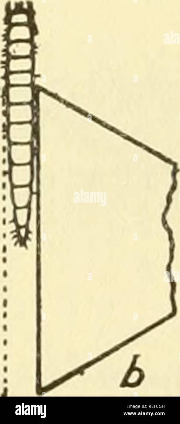 . Comparative animal physiology. Physiology, Comparative; Physiology ...