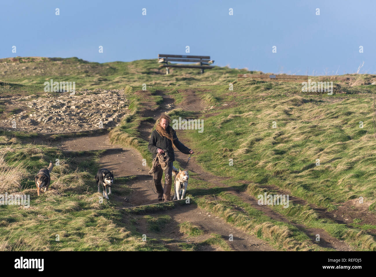 Man walking dog down path hi-res stock photography and images - Alamy