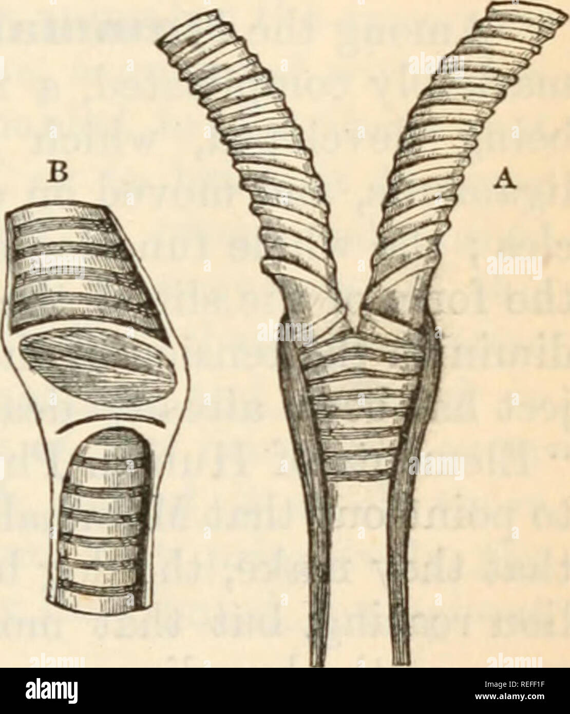 Position purely hi-res stock photography and images - Alamy