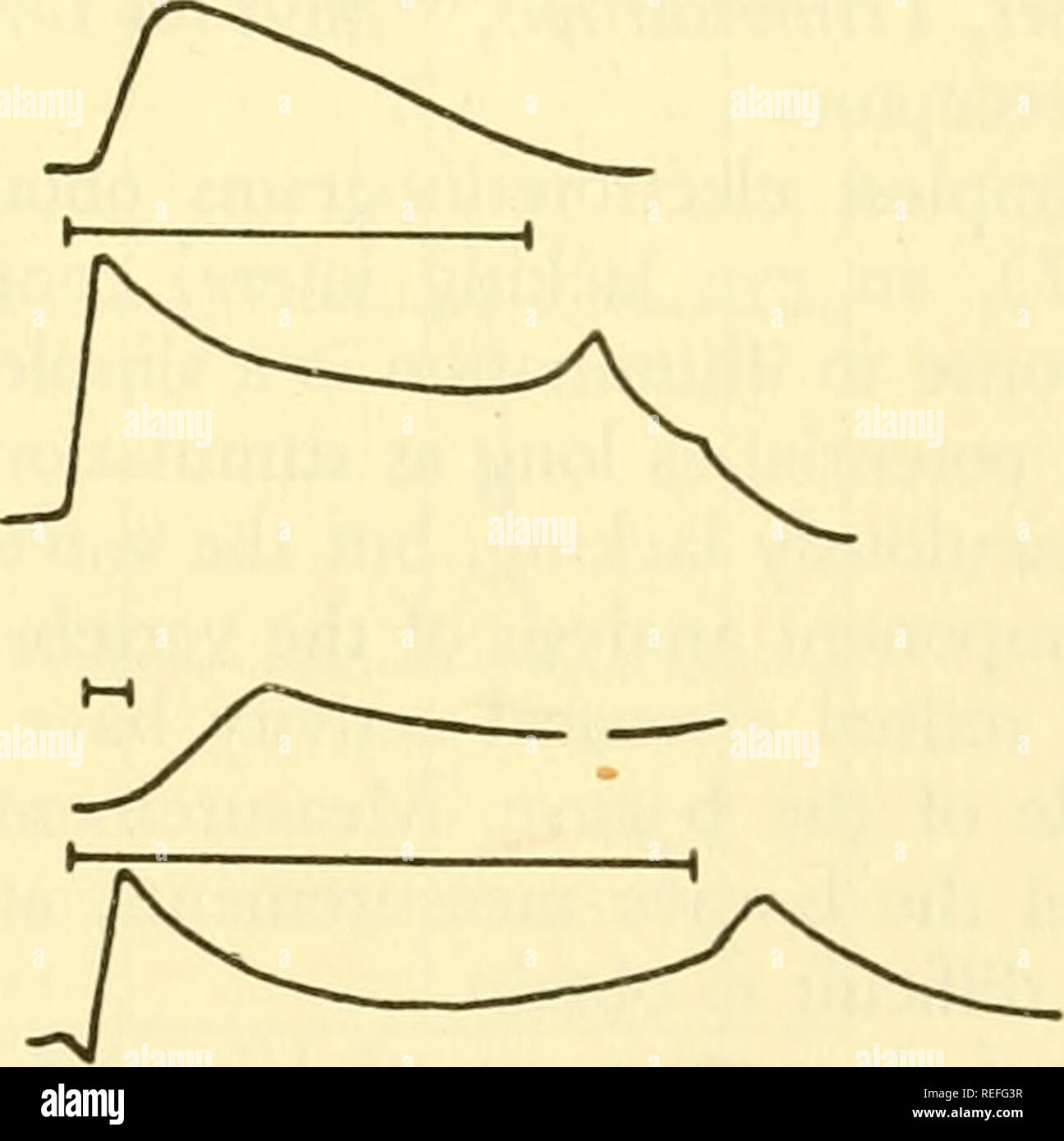 Cephalopod retinal hi-res stock photography and images - Alamy