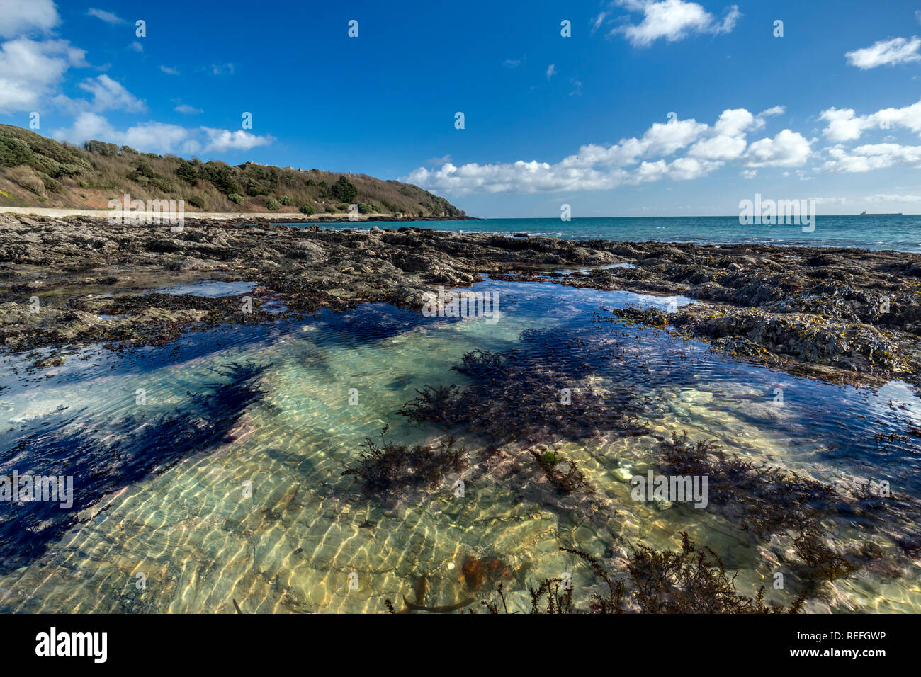 Castle Beach; Falmouth; Rock Pools; Cornwall; UK Stock Photo - Alamy