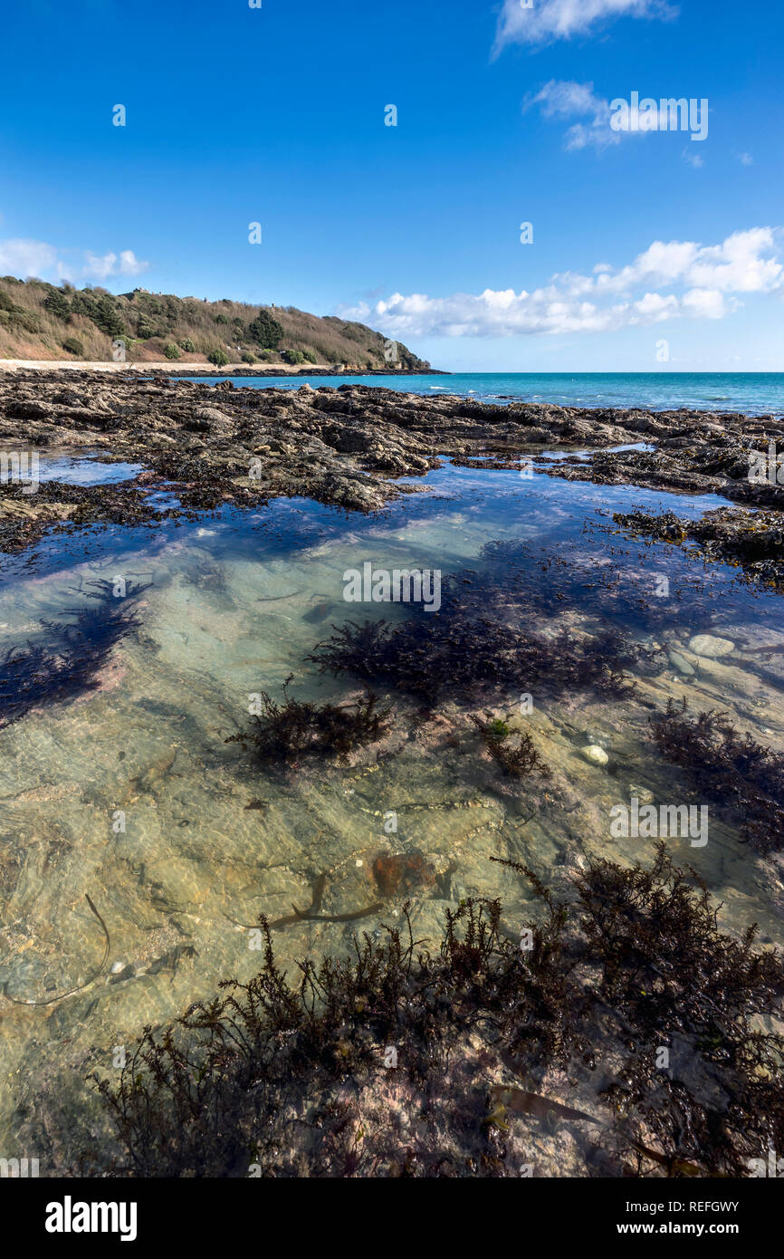 Rock pools cornwall hi-res stock photography and images - Alamy