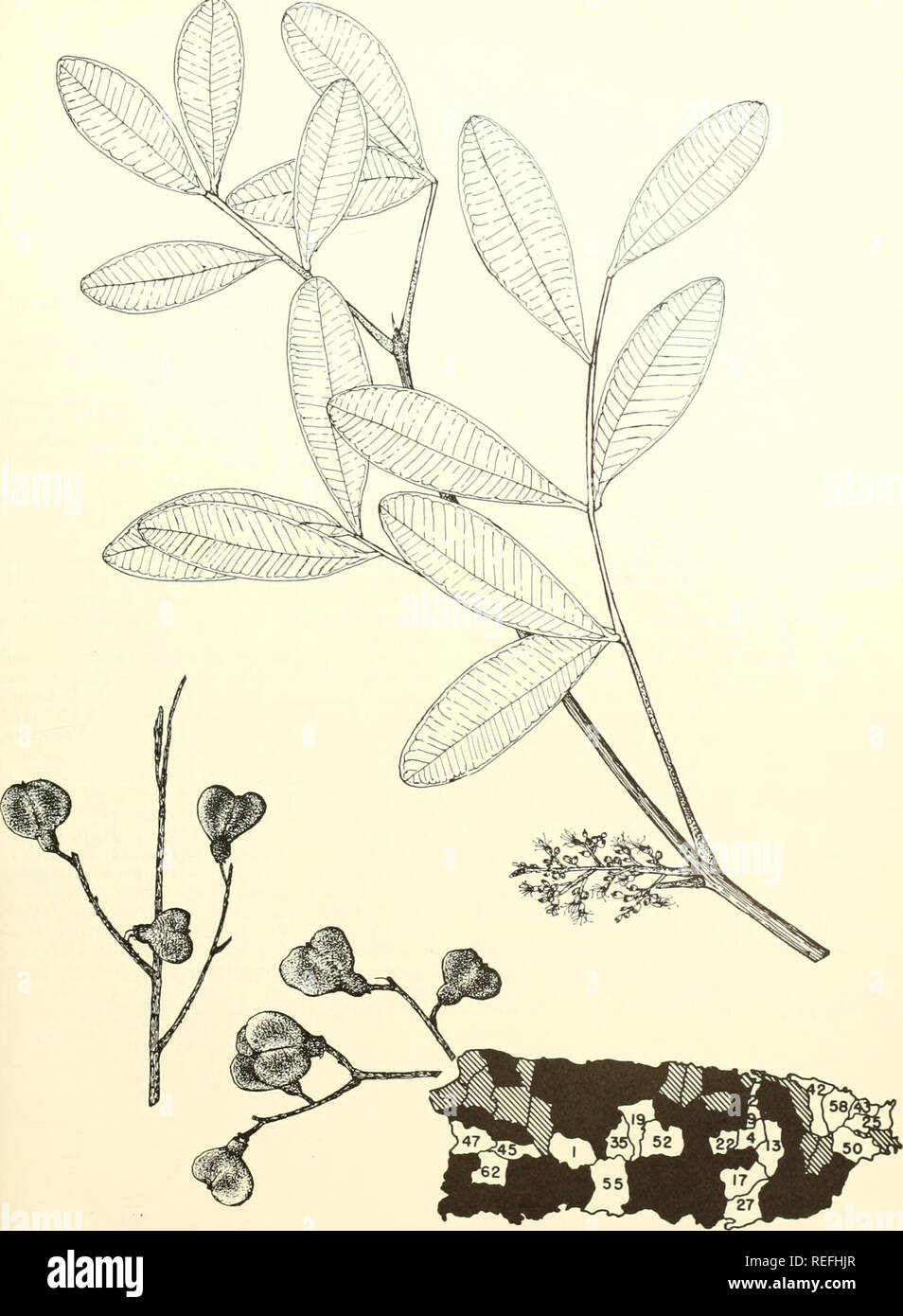 Lora c little hi-res stock photography and images - Alamy