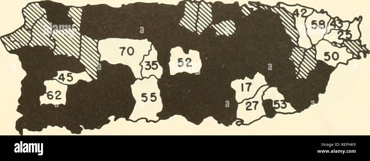 Palo colorado forest hi-res stock photography and images - Alamy