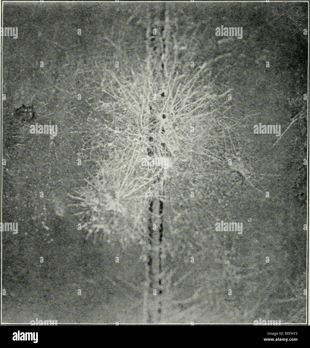 Opposite directions looks hi-res stock photography and images - Alamy