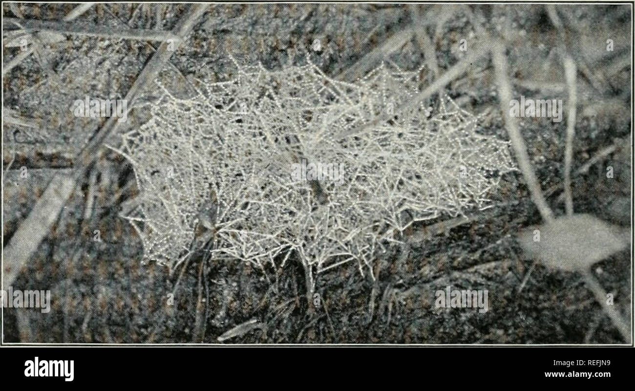 Eri circle hi-res stock photography and images - Alamy