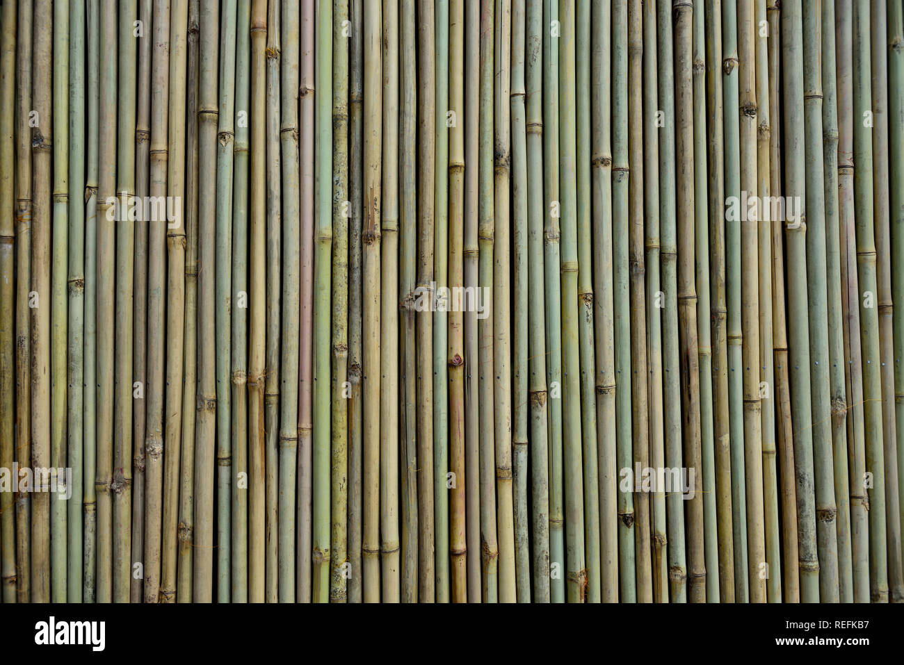 Wall Of Sticks High Resolution Stock Photography and Images - Alamy