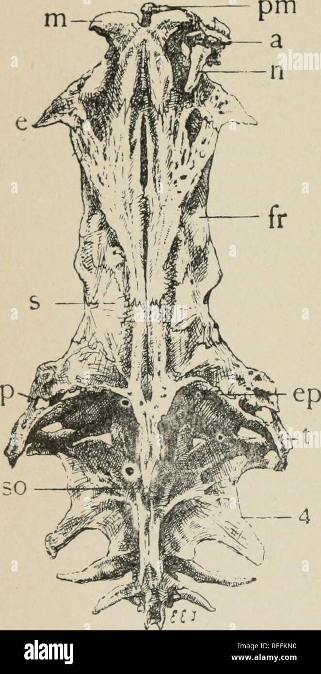 . Commissioners' report.. Game and game-birds; Game protection ...