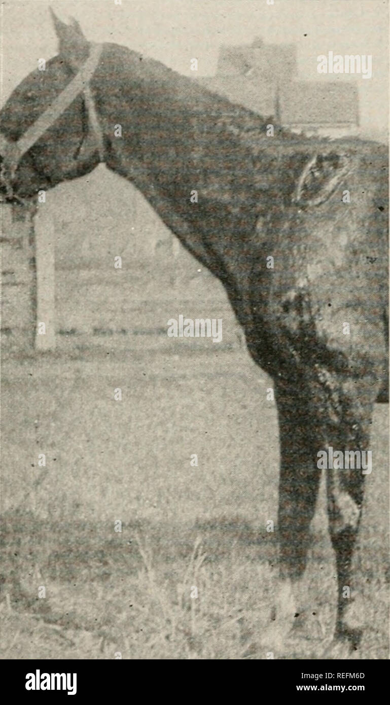 Granulation tissues hi-res stock photography and images - Alamy