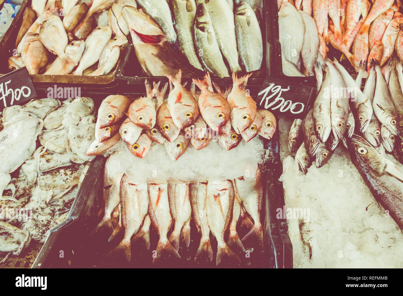 Traditional fish market in Tunisia Stock Photo - Alamy