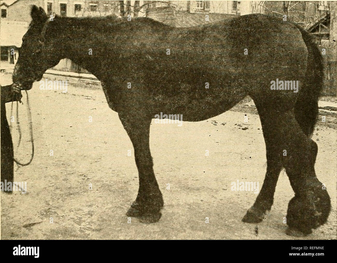 Heart punctured hi-res stock photography and images - Alamy