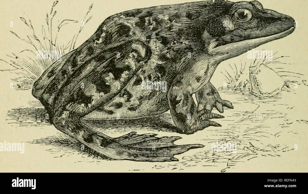 Pou triangular hi-res stock photography and images - Alamy