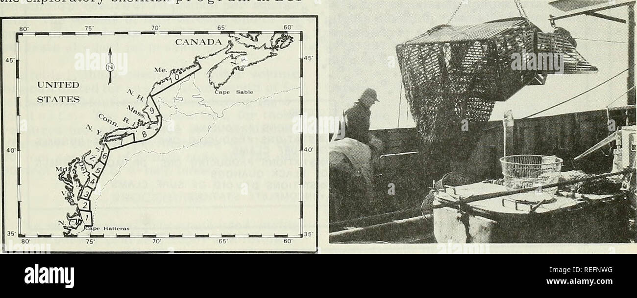 Clam virginia hi-res stock photography and images - Alamy