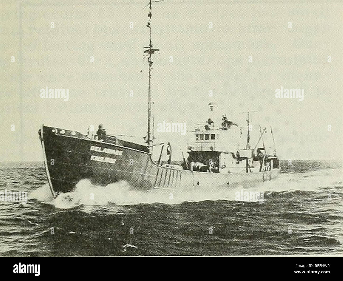 Clam virginia hi-res stock photography and images - Alamy