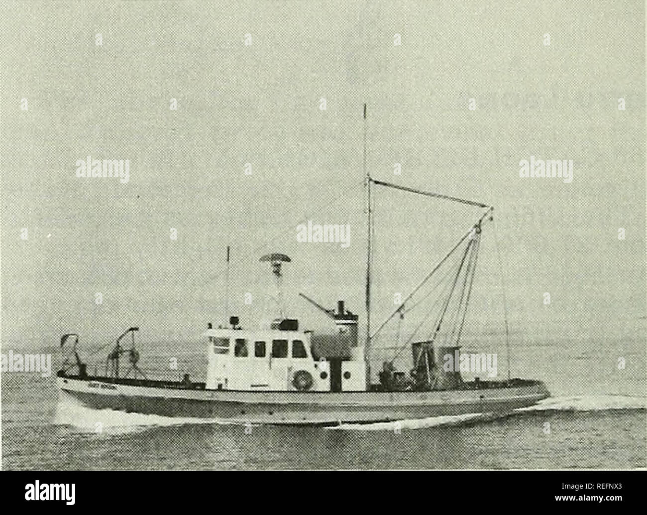 Clam virginia hi-res stock photography and images - Alamy