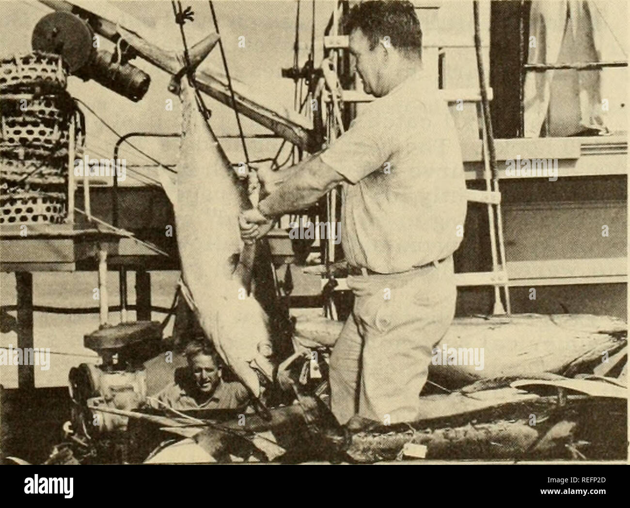 Hauling out areas hi-res stock photography and images - Alamy