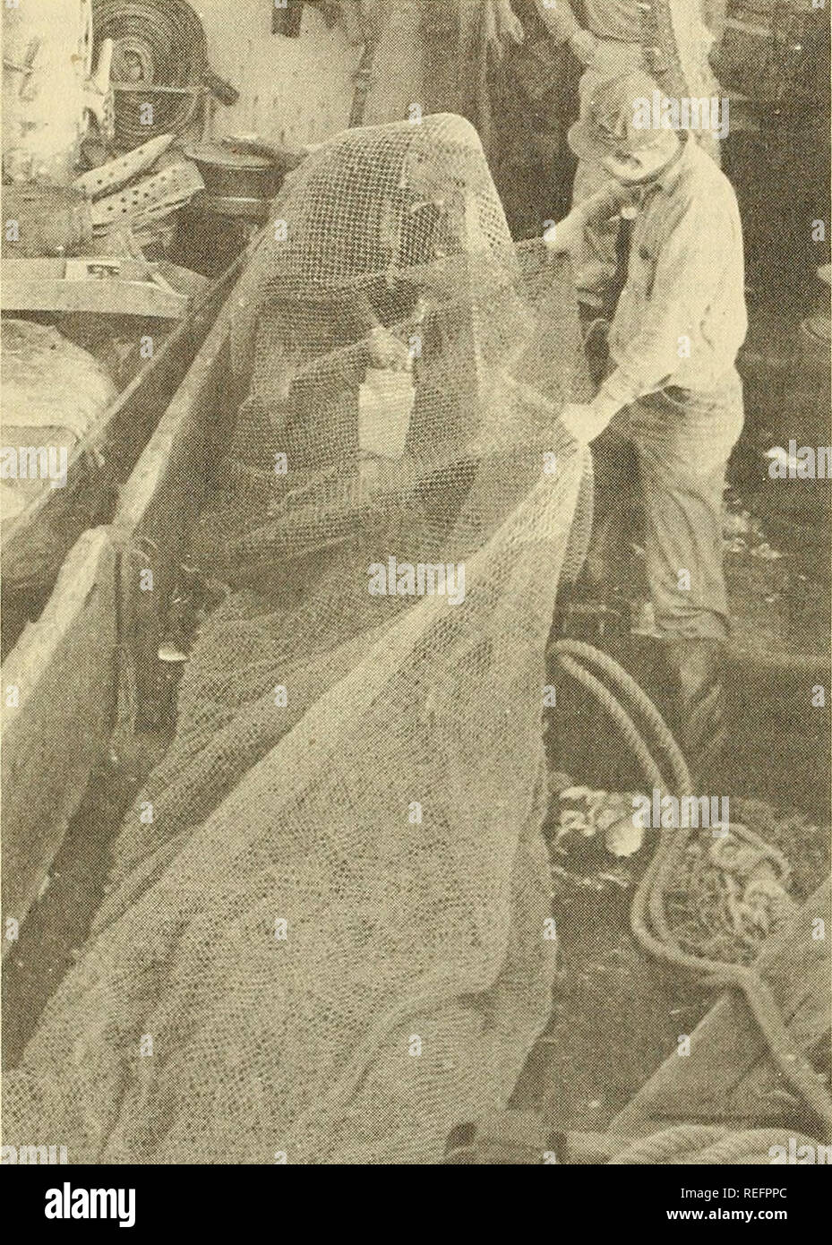 Determine the mesh of the net hi-res stock photography and images - Alamy