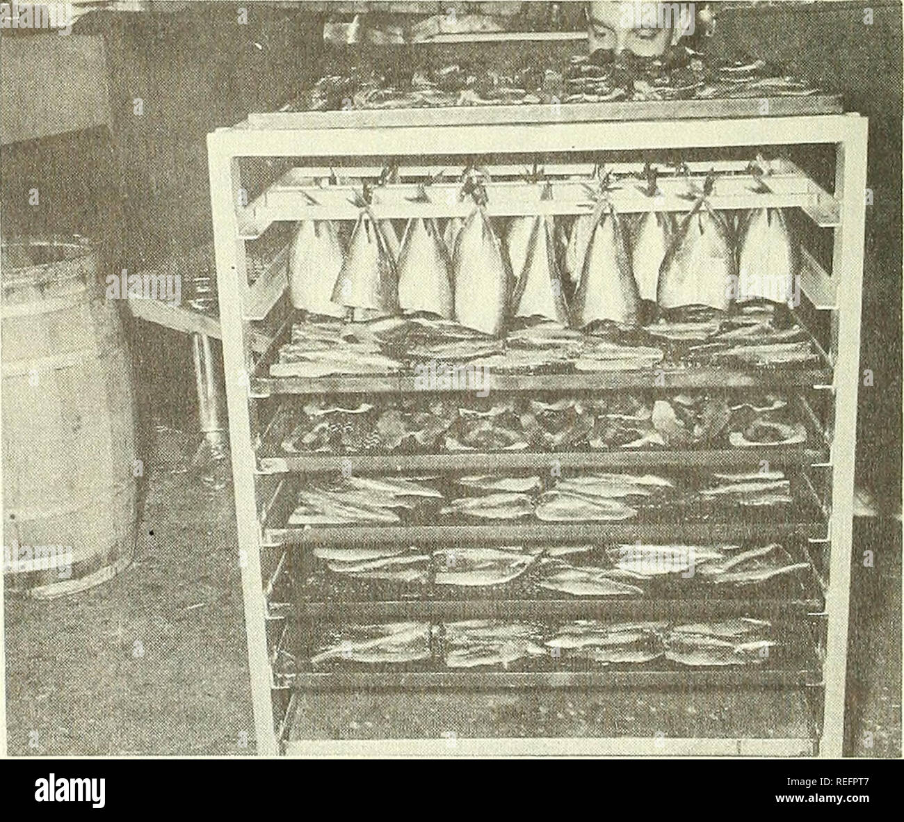 Frozen fish unit hi-res stock photography and images - Alamy