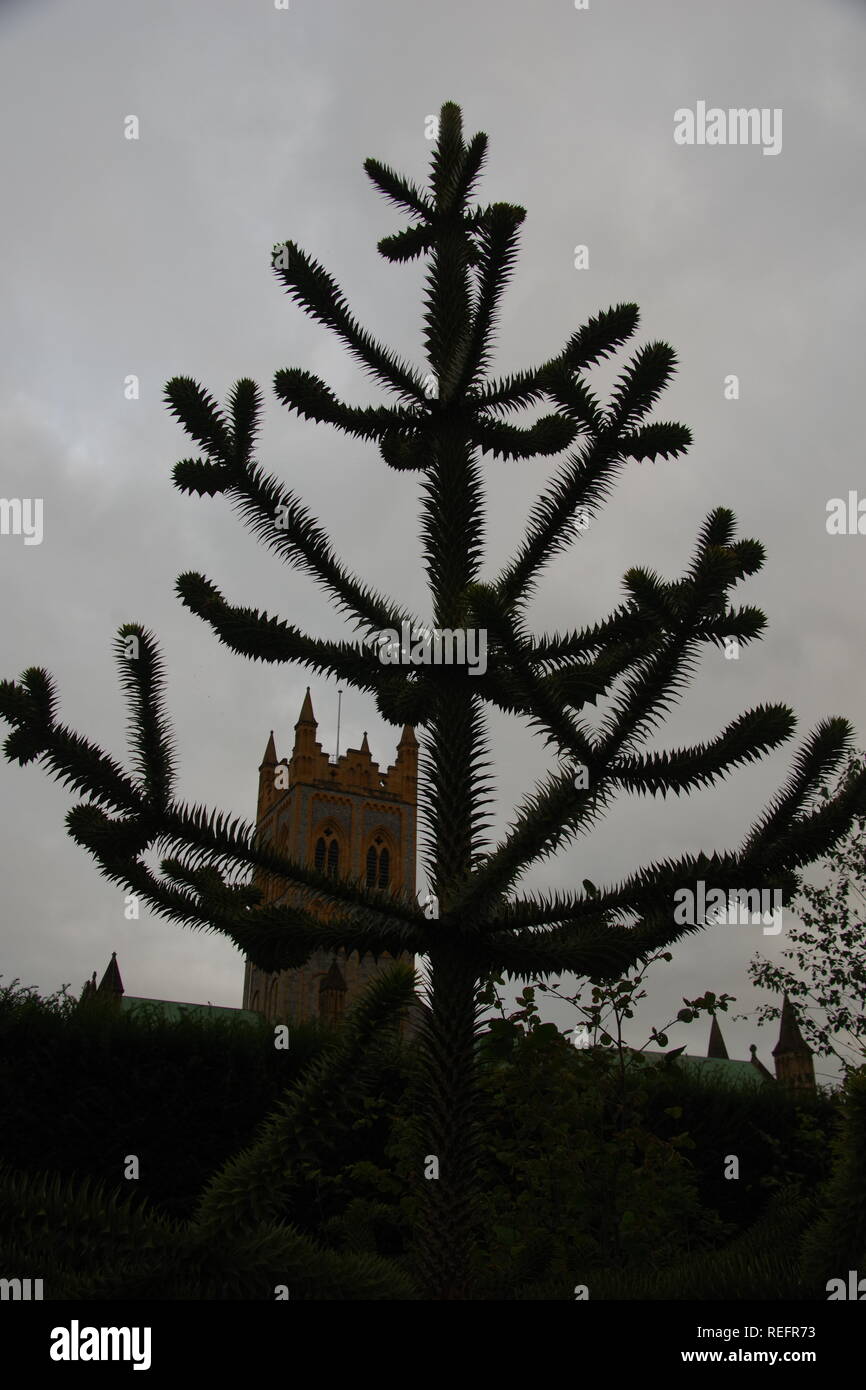Buckfast Abbey Millennium Show Garden, Dartmoor National Park, Devon ...