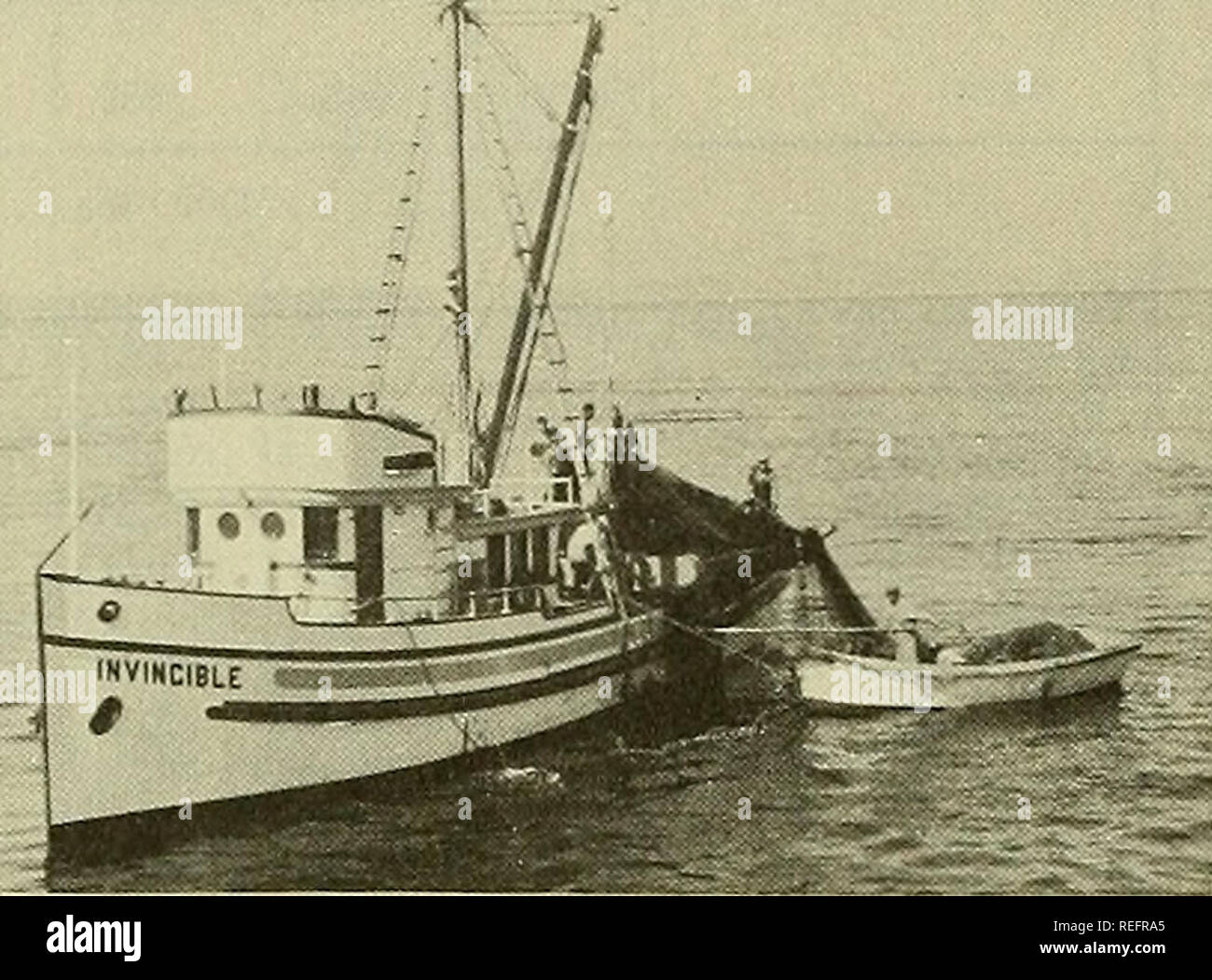 . Commercial fisheries review. Fisheries; Fish trade. 38 COMMERCIAL ...