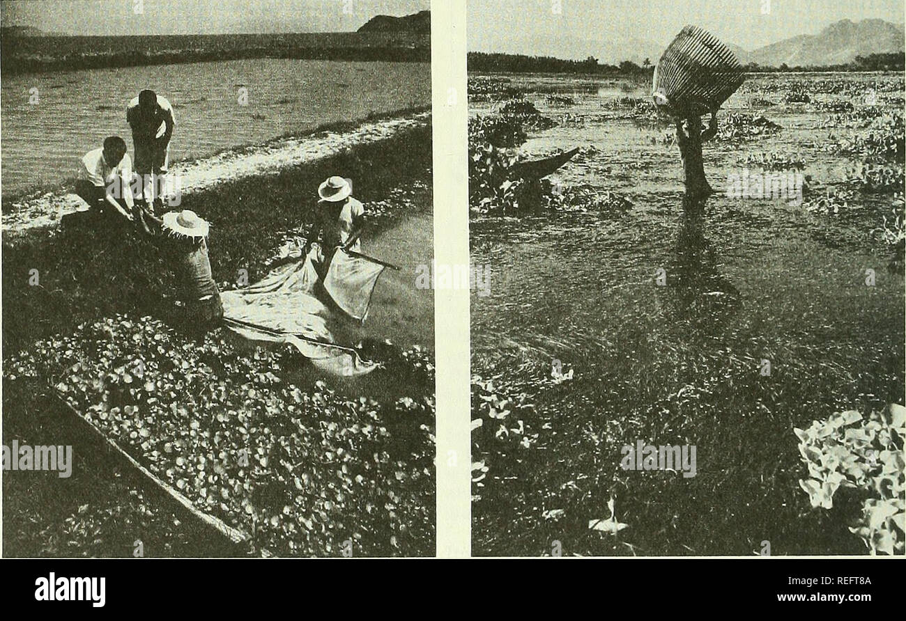 Small boat investigation hi-res stock photography and images - Alamy