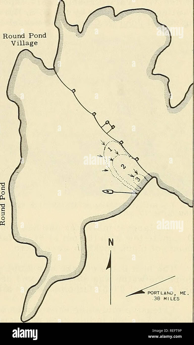 Air compressor diagram hi-res stock photography and images - Alamy