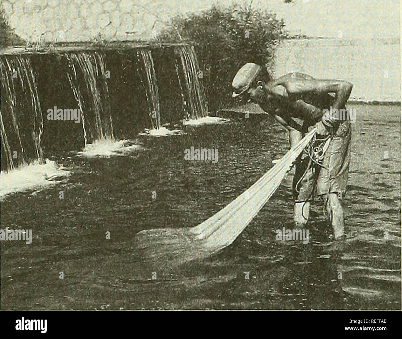 . Commercial fisheries review. Fisheries; Fish trade. 80 Greece (Contd ...