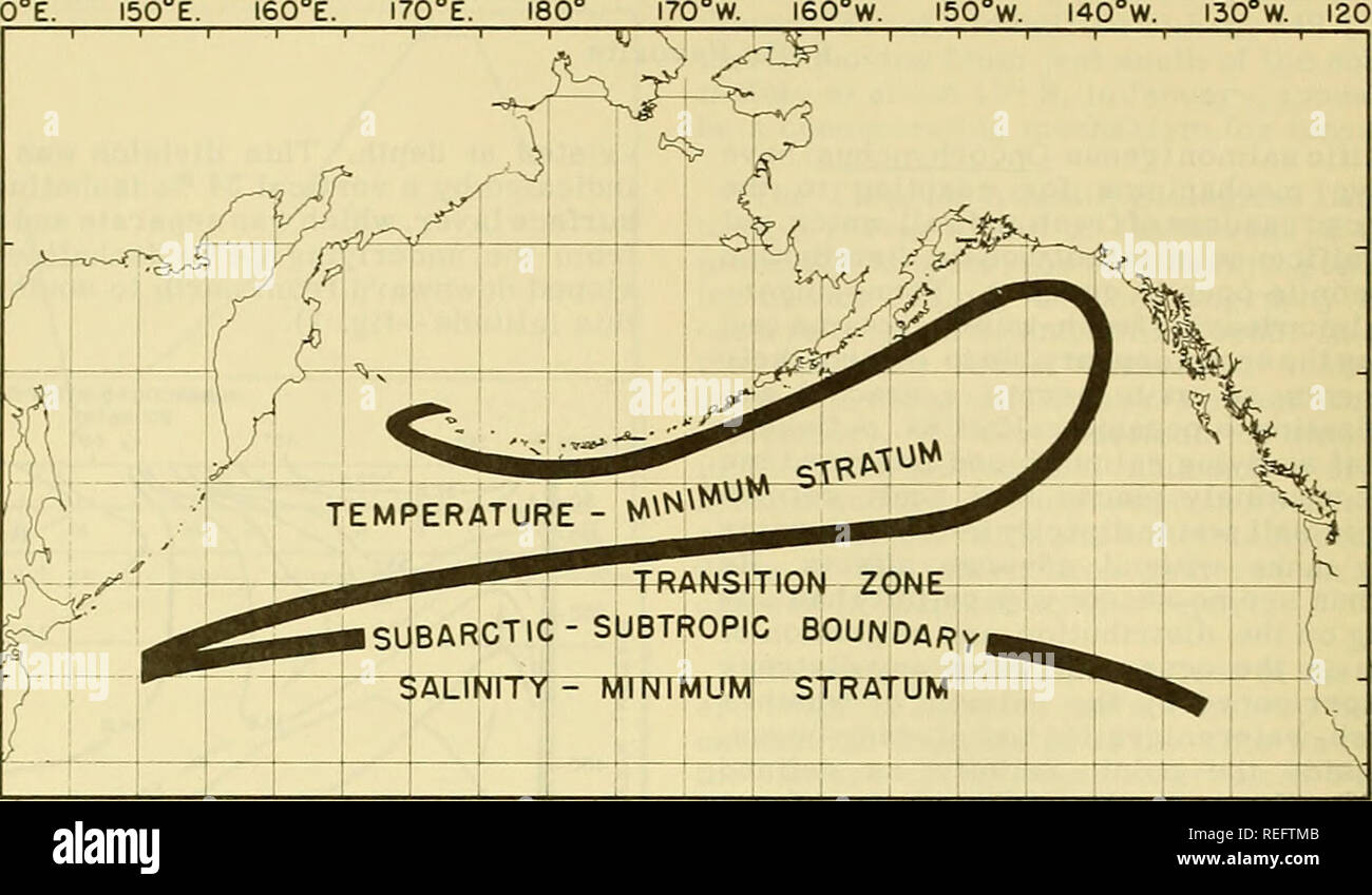 The iso zone review - danceluli