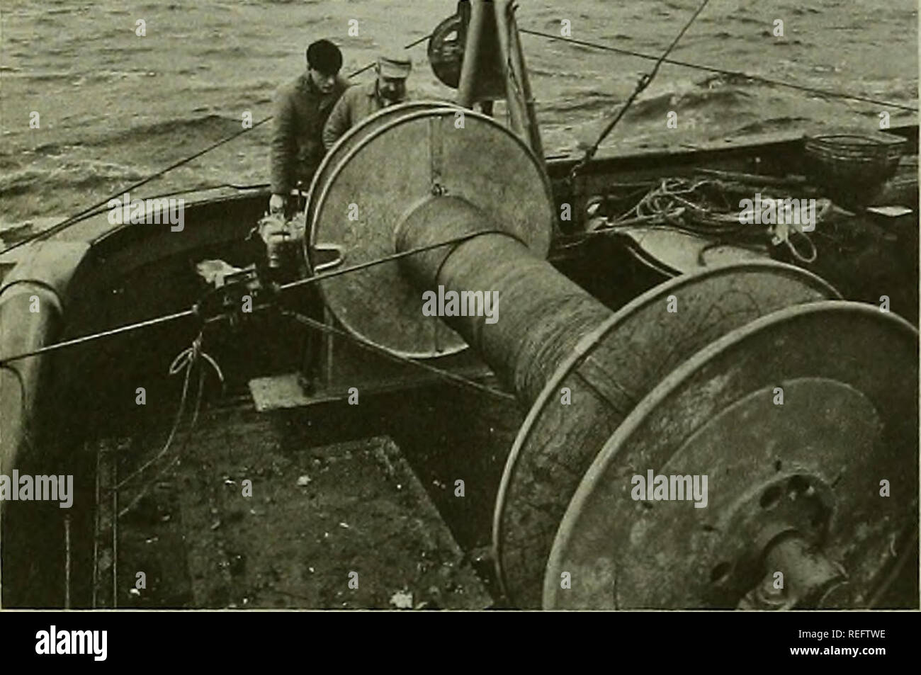 Bridle Cable High Resolution Stock Photography and Images - Alamy