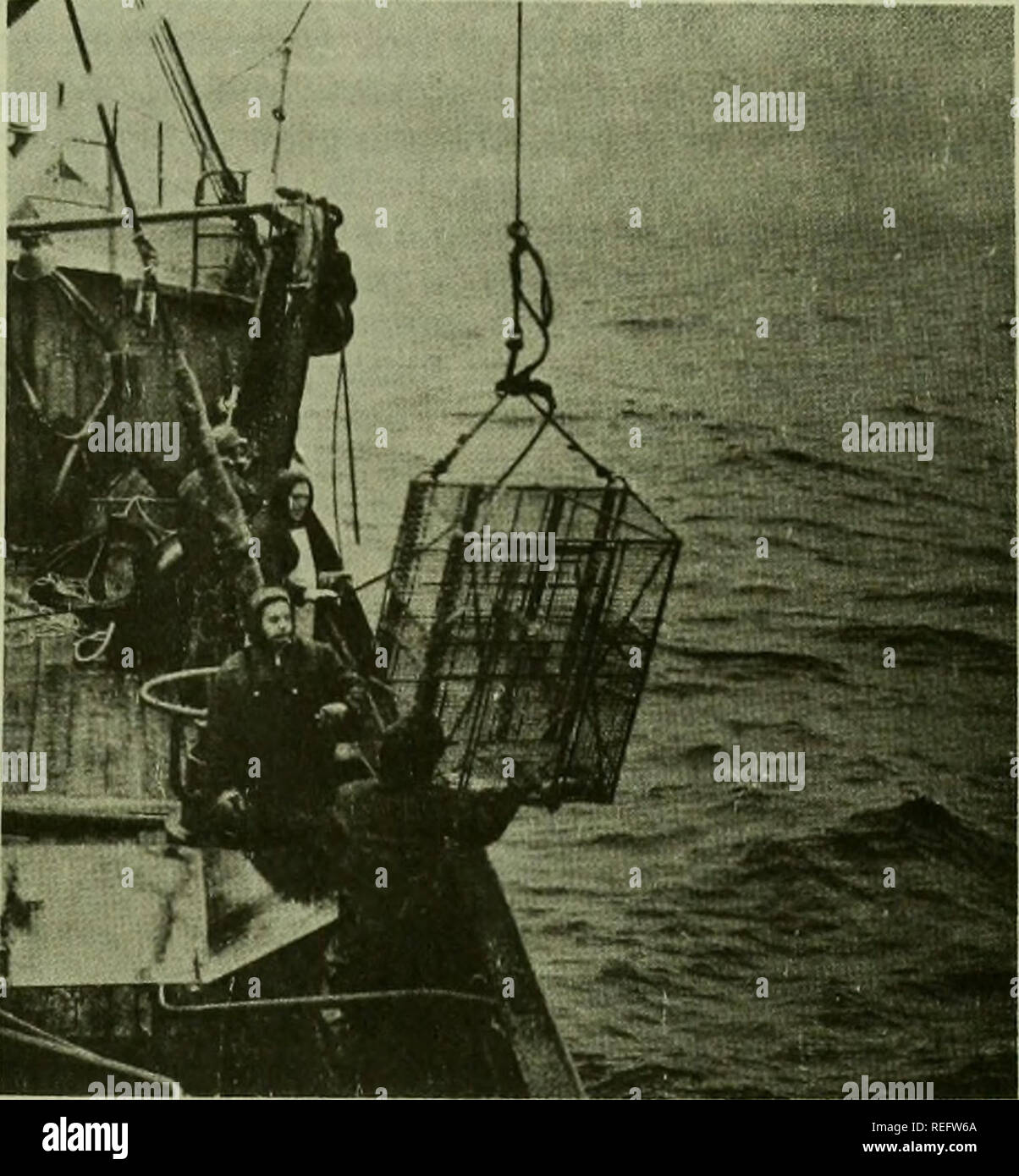 . Commercial fisheries review. Fisheries; Fish trade. 25 talpots, 31 ...