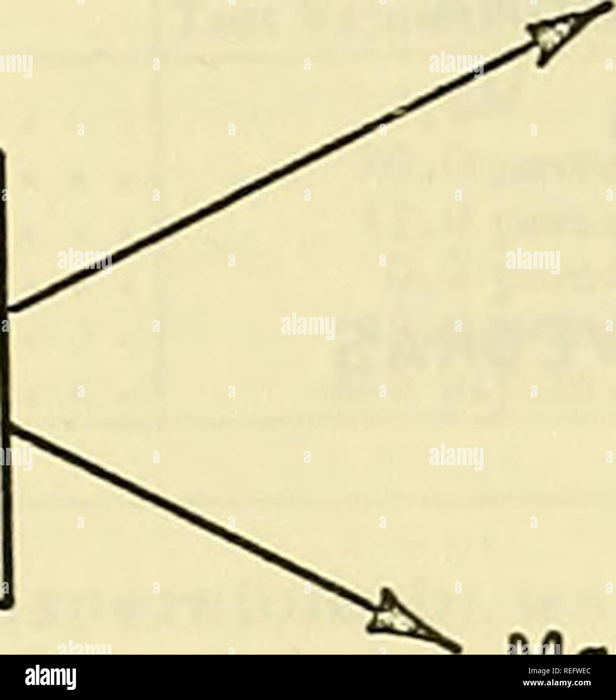 . Commercial fisheries review. Fisheries; Fish trade. 34 Collection of ...