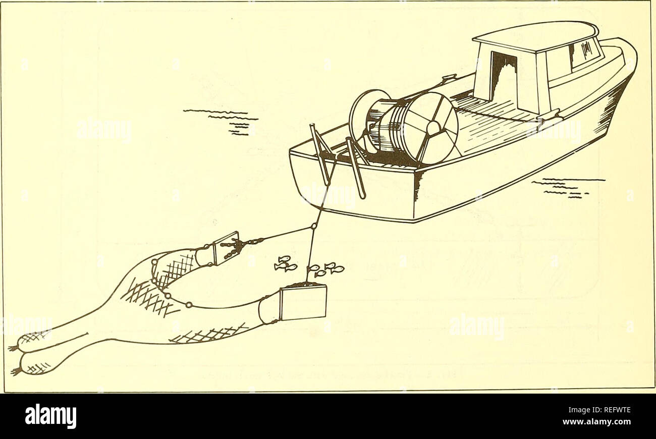 Take taking the strain hi-res stock photography and images - Alamy