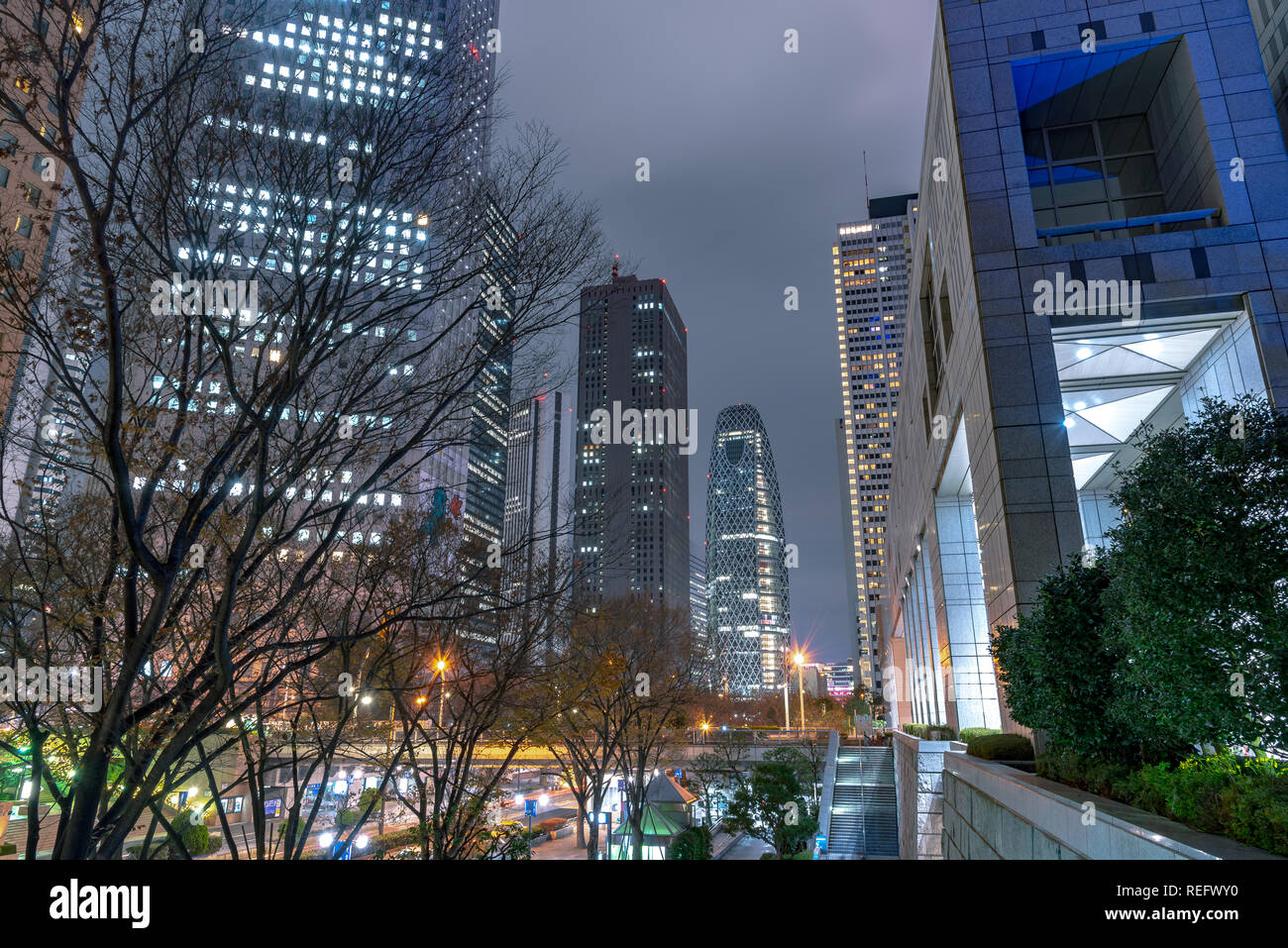 Shinjuku business landmark buildings at night, Shinjuku, Tokyo, Japan ...