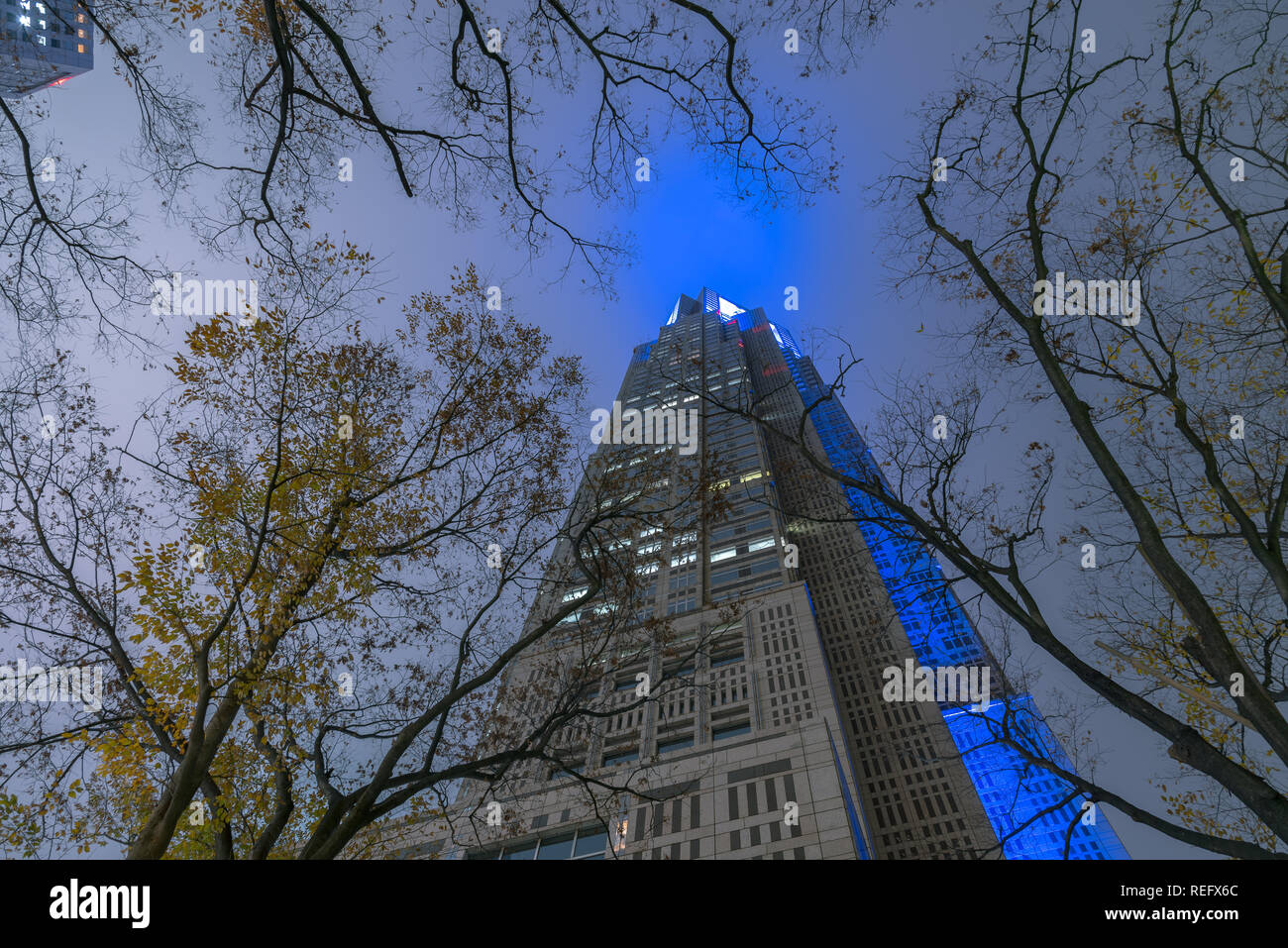 Tokyo Metropolitan Government building at Night, Shinjuku, Tokyo, Japan ...