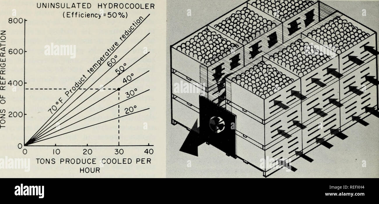 . Commercial cooling of fruits and vegetables. Fruit; Fruit; Vegetables ...