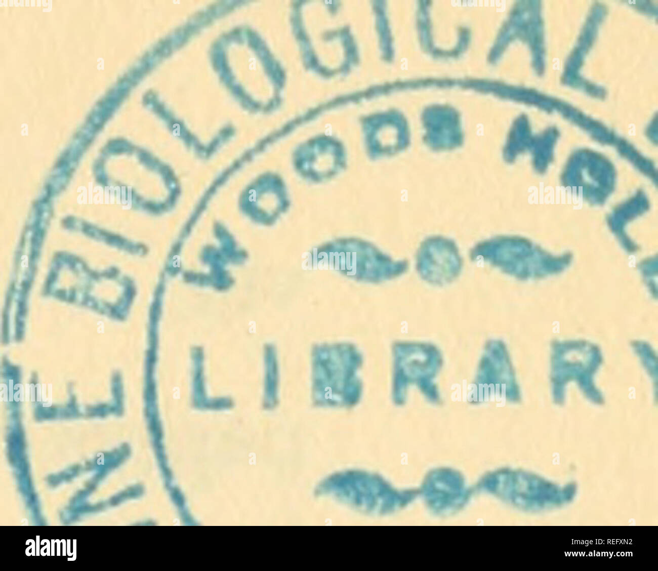 . A commentary on the scientific writings of J. Willard Gibbs. Gibbs ...