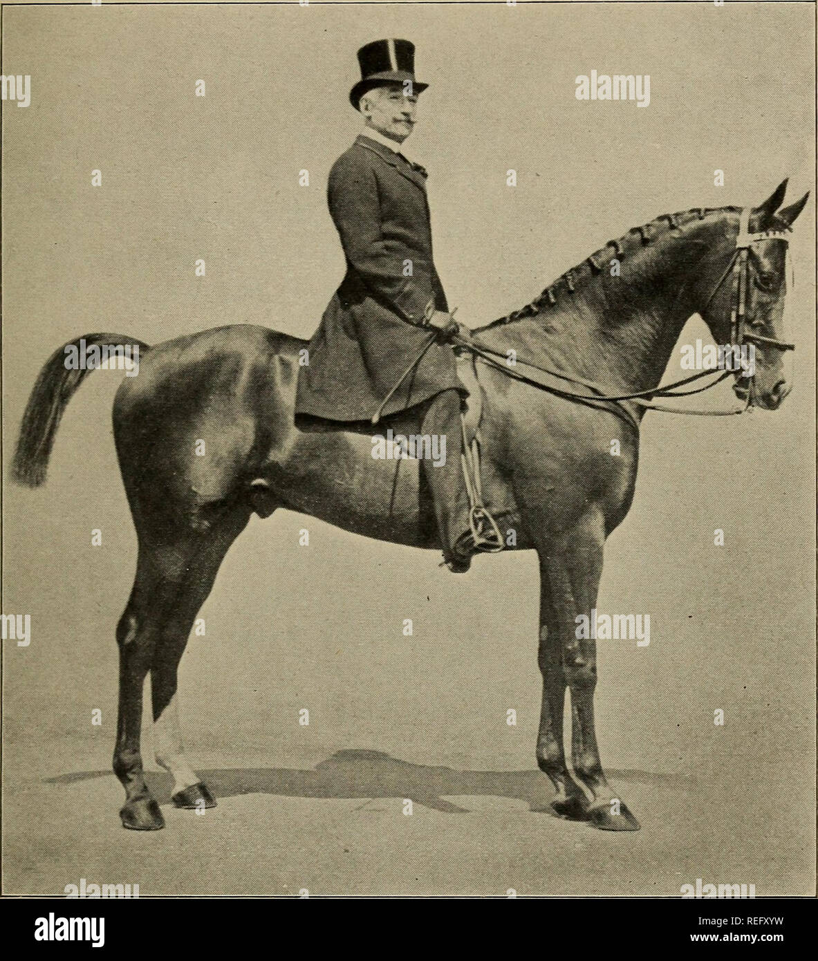 Fleitmann hi-res stock photography and images - Alamy