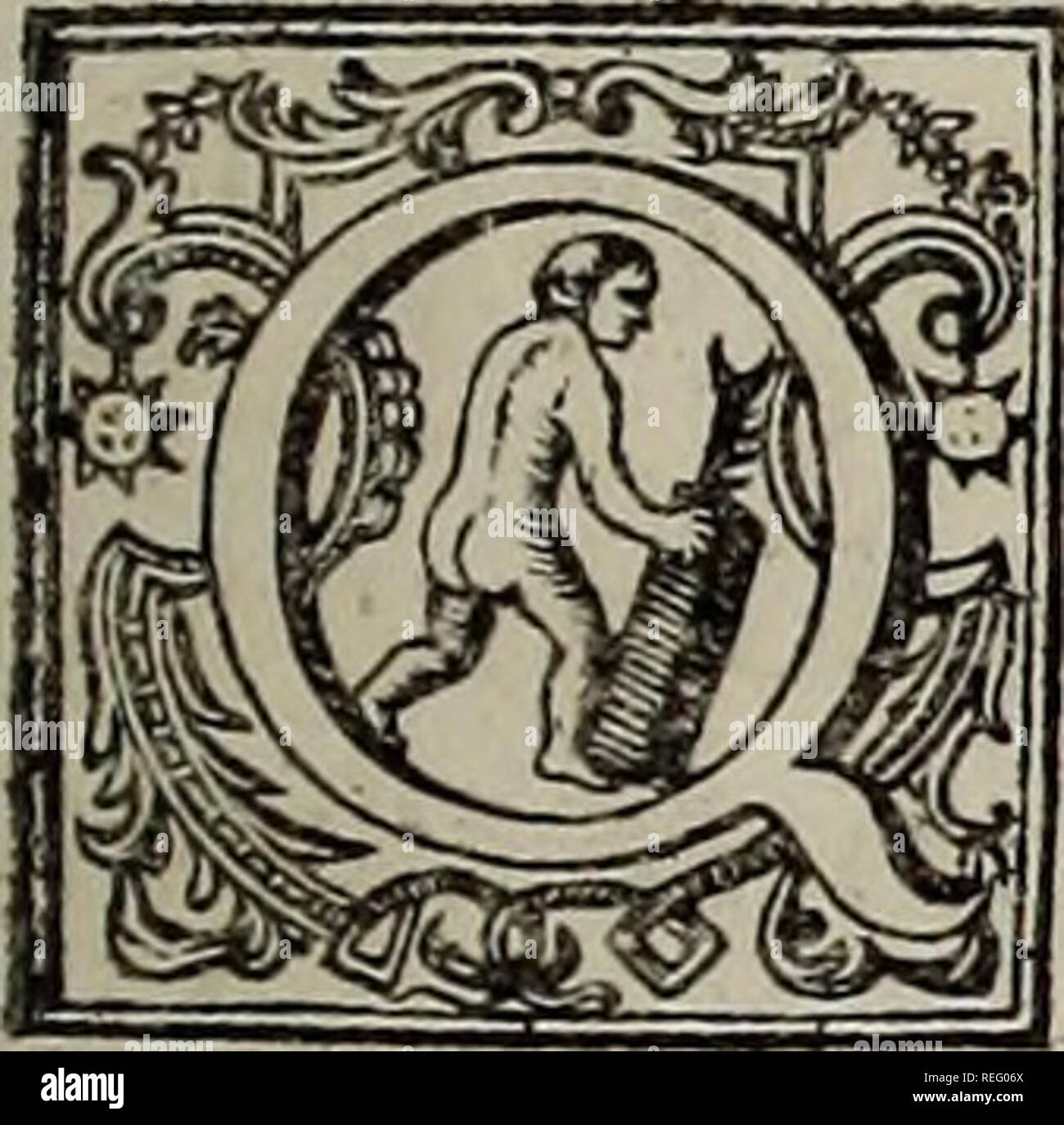 The biffer hi-res stock photography and images - Alamy