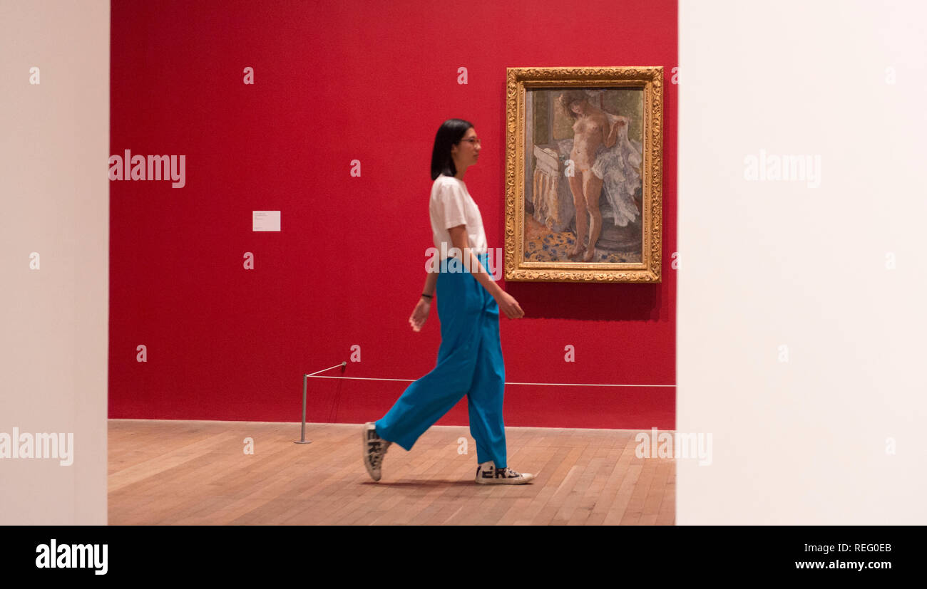 Pierre bonnard tate hi-res stock photography and images - Alamy