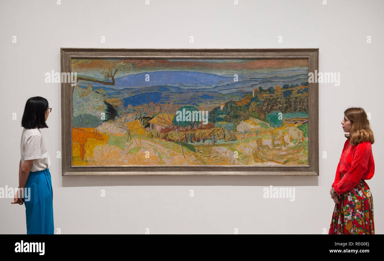 Tate Modern, London, UK. 21 January, 2019. The UK’s first major Pierre ...