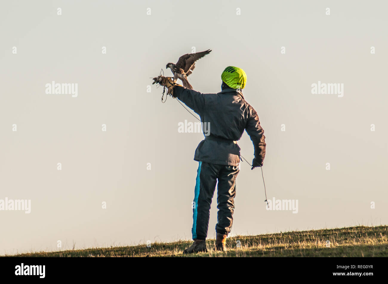 Bo-Peep, Alciston, Lewes, Sussex, UK. 20th January 2109. Safire the pet ...