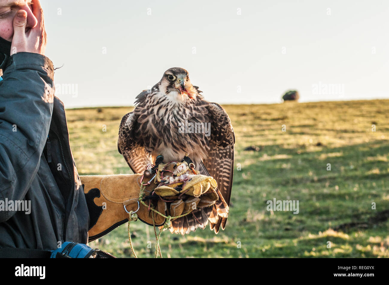 Bo-Peep, Alciston, Lewes, Sussex, UK. 20th January 2019. Back on the ...