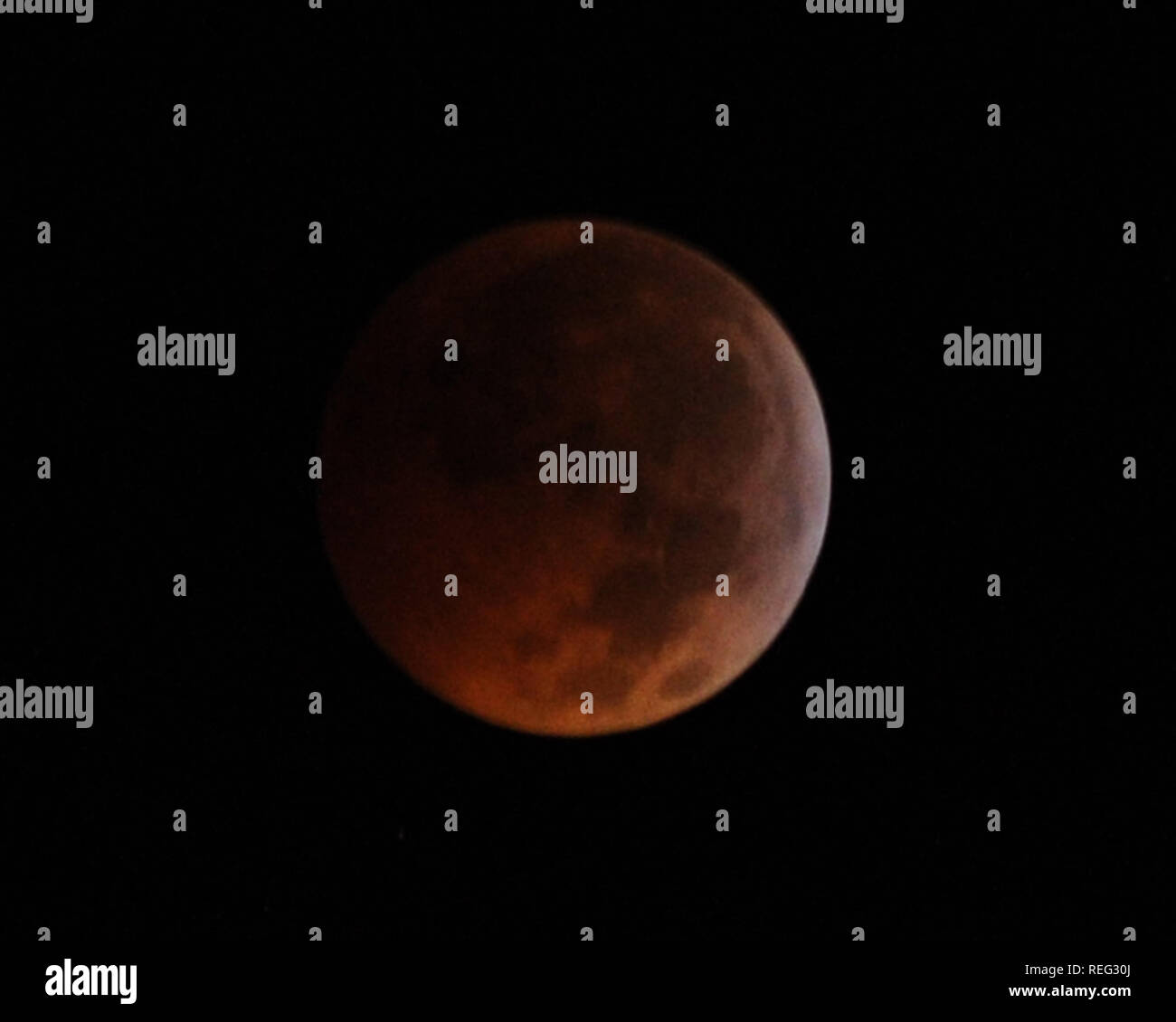 MIAMI BEACH, FL - JANUARY 21: Super Blood Wolf Moon has risen in ...