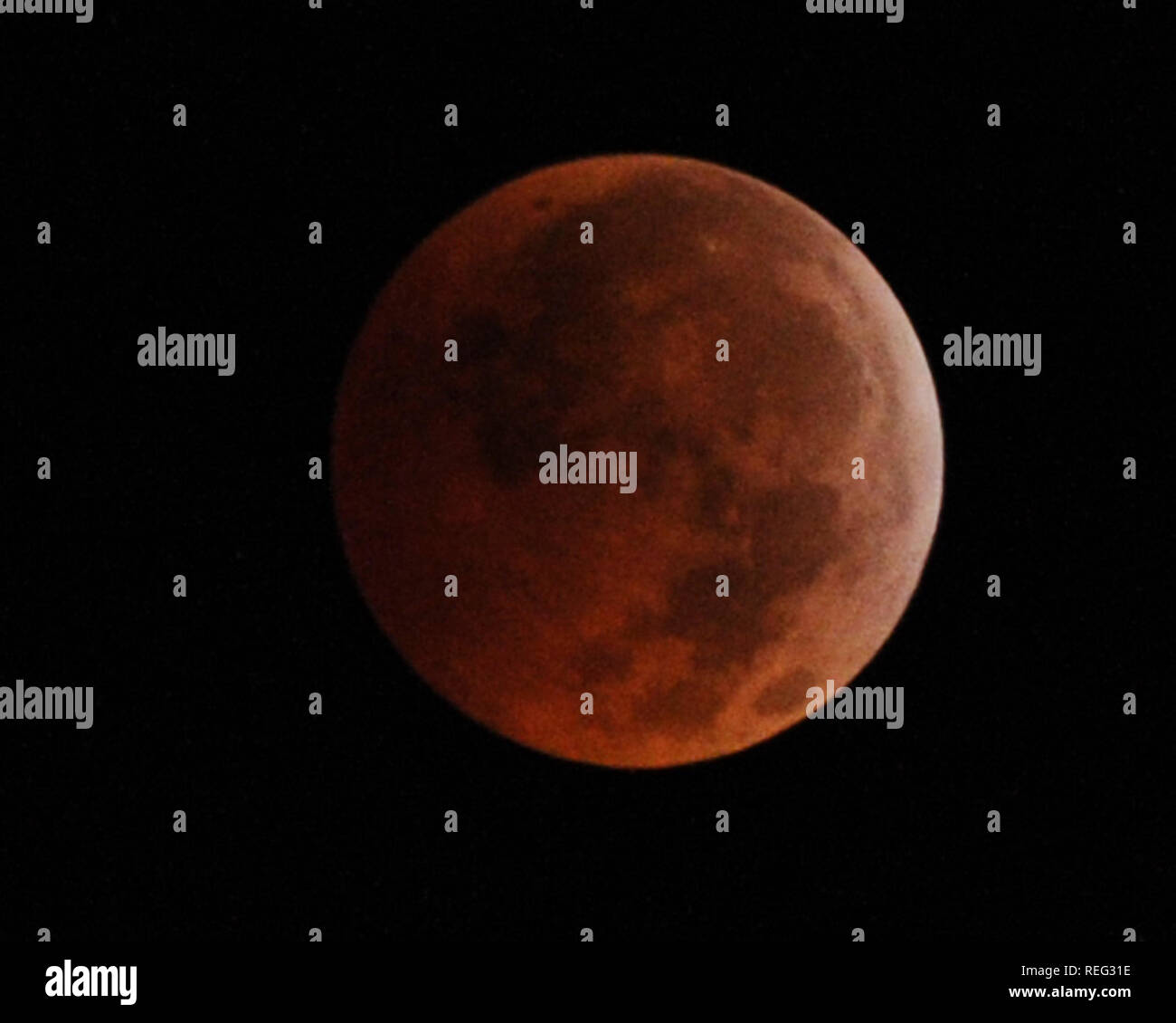 MIAMI BEACH, FL - JANUARY 21: Super Blood Wolf Moon has risen in ...
