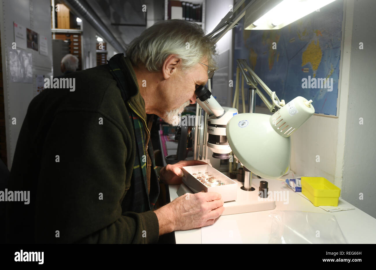 15 January 2019, Bavaria, München: The beetle collector Franz Wachtel ...