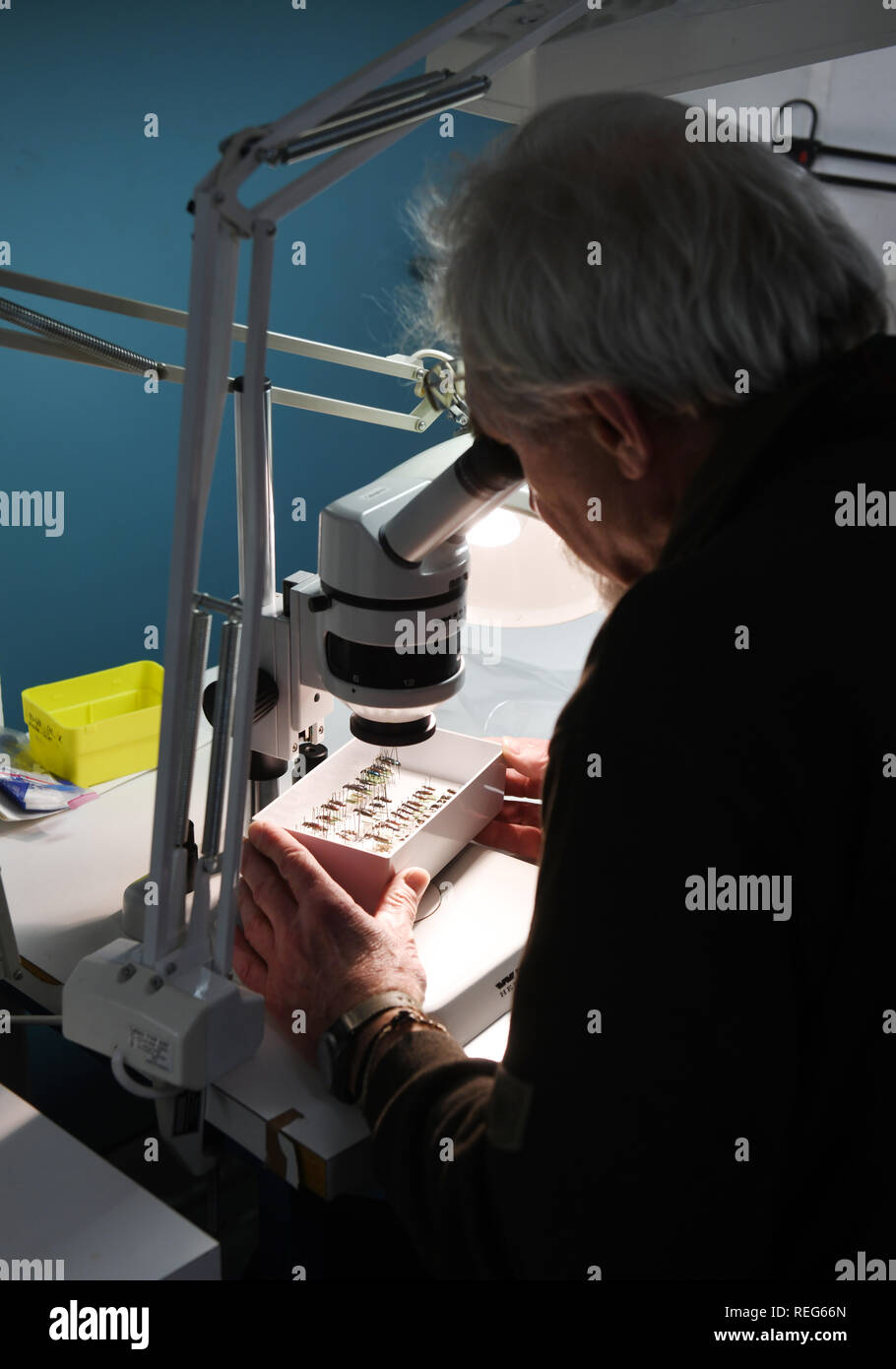 15 January 2019, Bavaria, München: The beetle collector Franz Wachtel ...