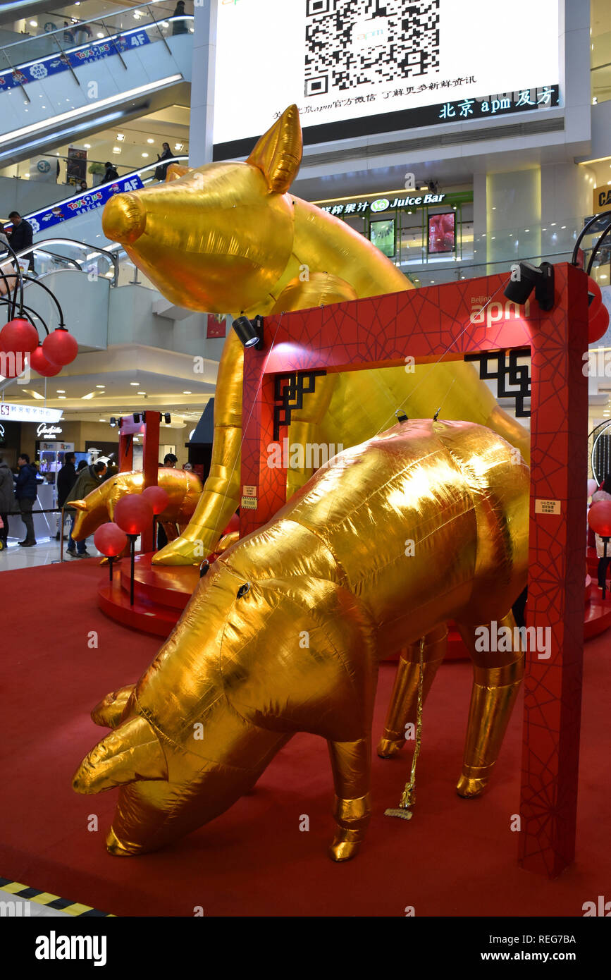 January 22, 2019 - Beijing, Beijing, China - Beijing, CHINA-One ...