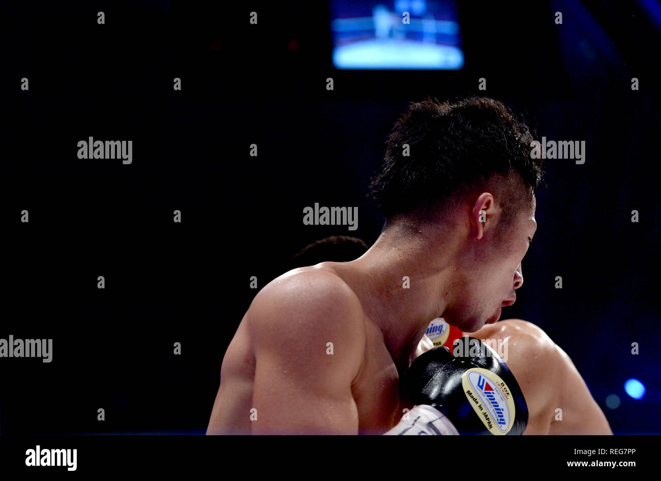 Takuma inoue hi-res stock photography and images - Alamy